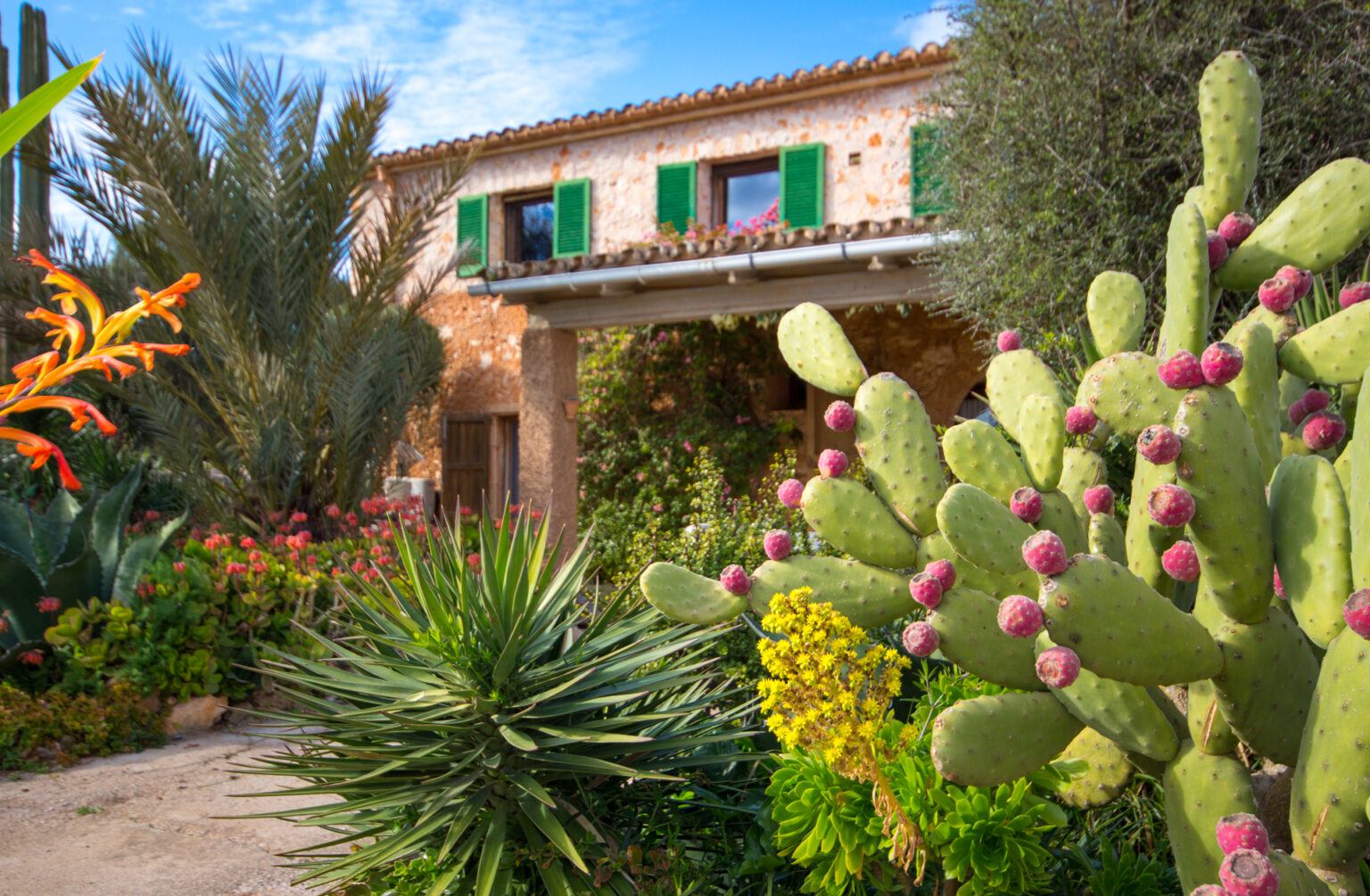 Living the Finca dream close to Santanyí – Blog | Buy a Home Mallorca
